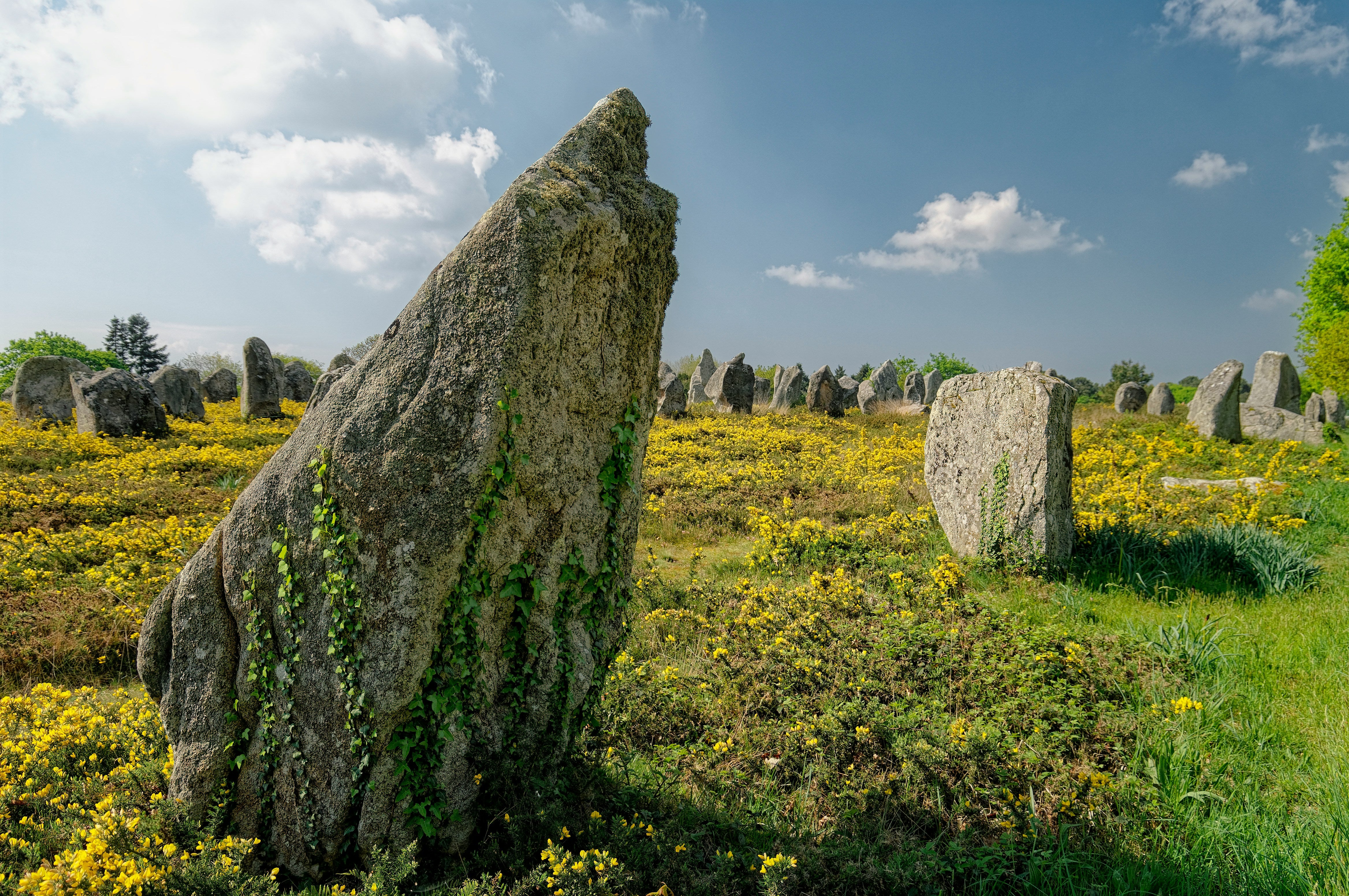 How to Practice Nature Magic: Embracing the Enchantment of the Natural ...